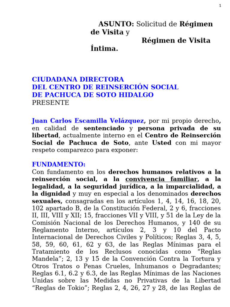 Regimen de Visita | PDF