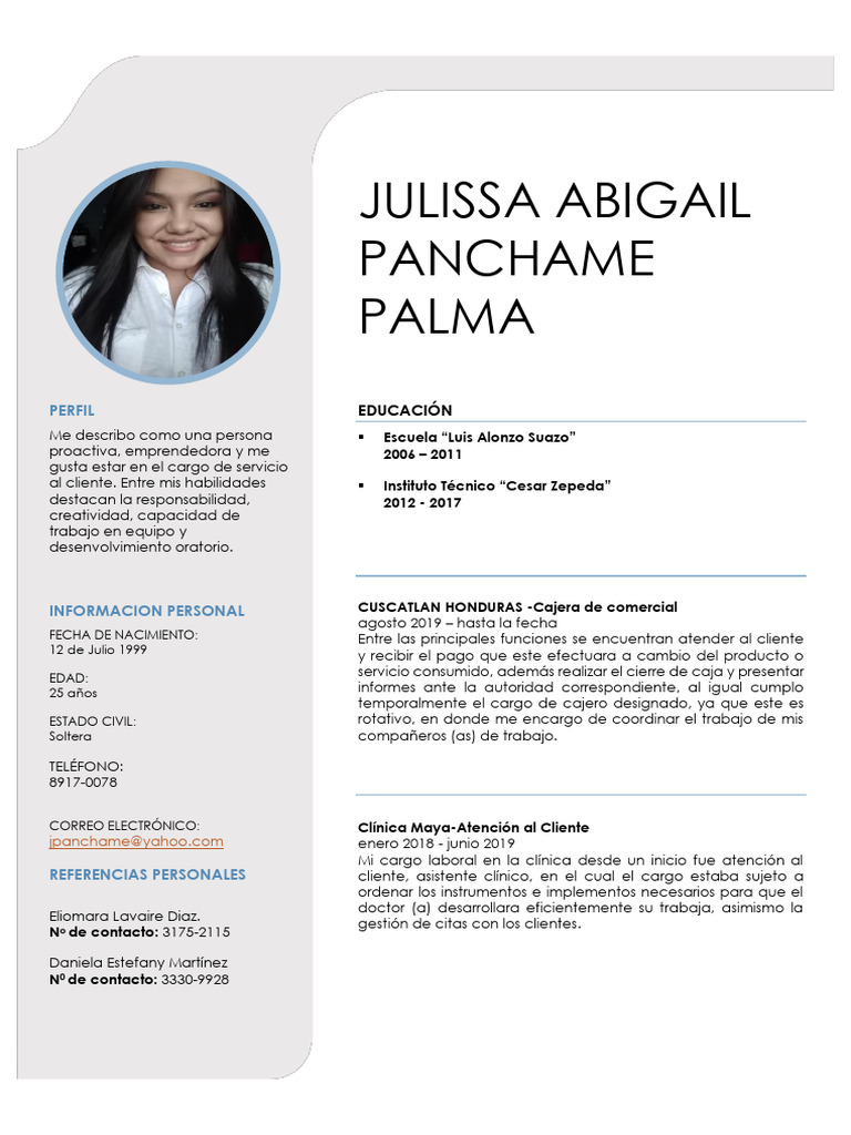 Curriculum Actualizado | PDF