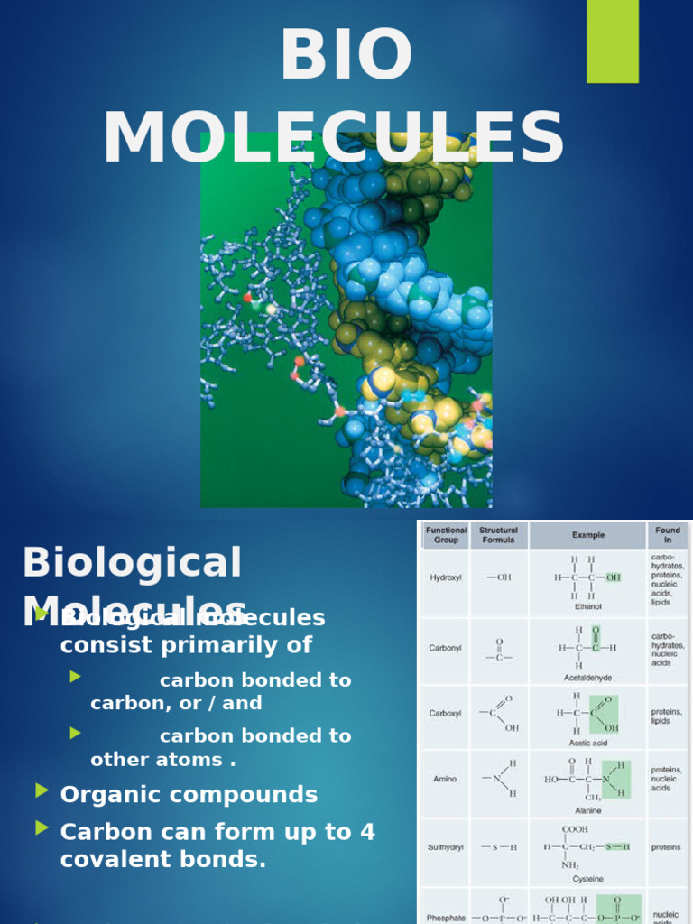 Bio molecules | PDF
