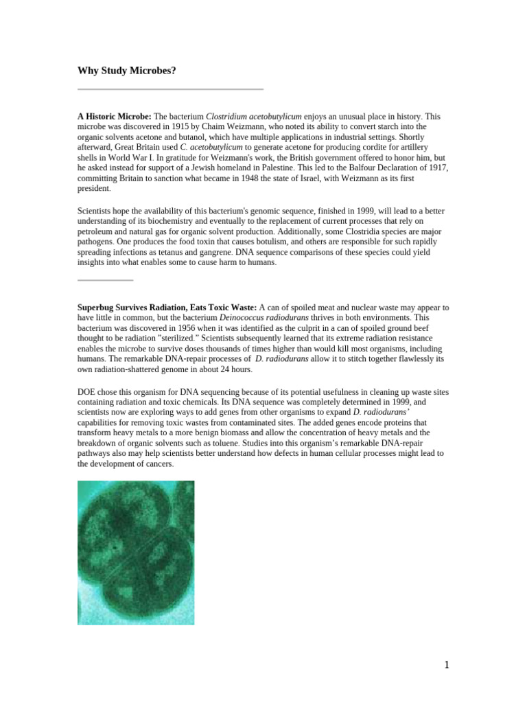 01 Why Study Microbes | PDF