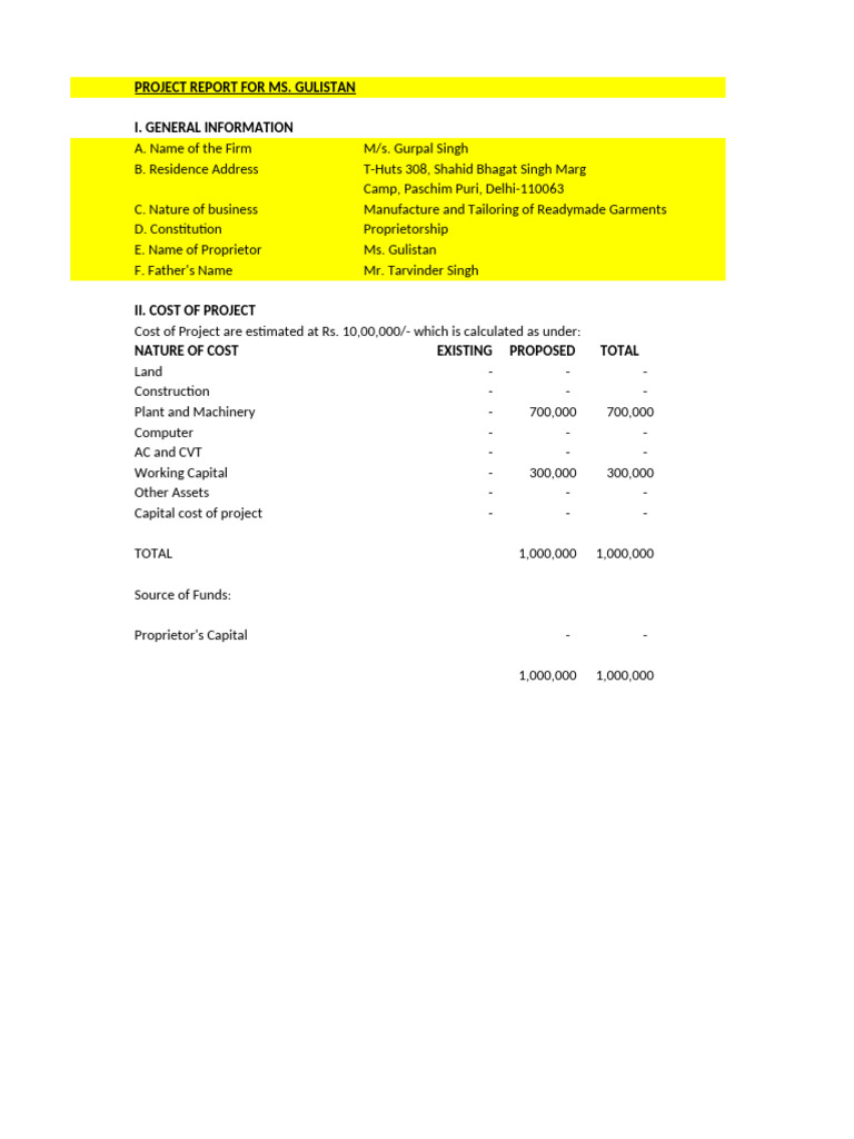 Projected Financial Statements | PDF