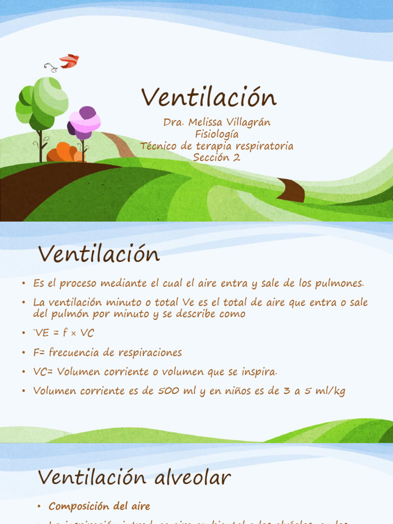 Ventilaci Ã N | PDF