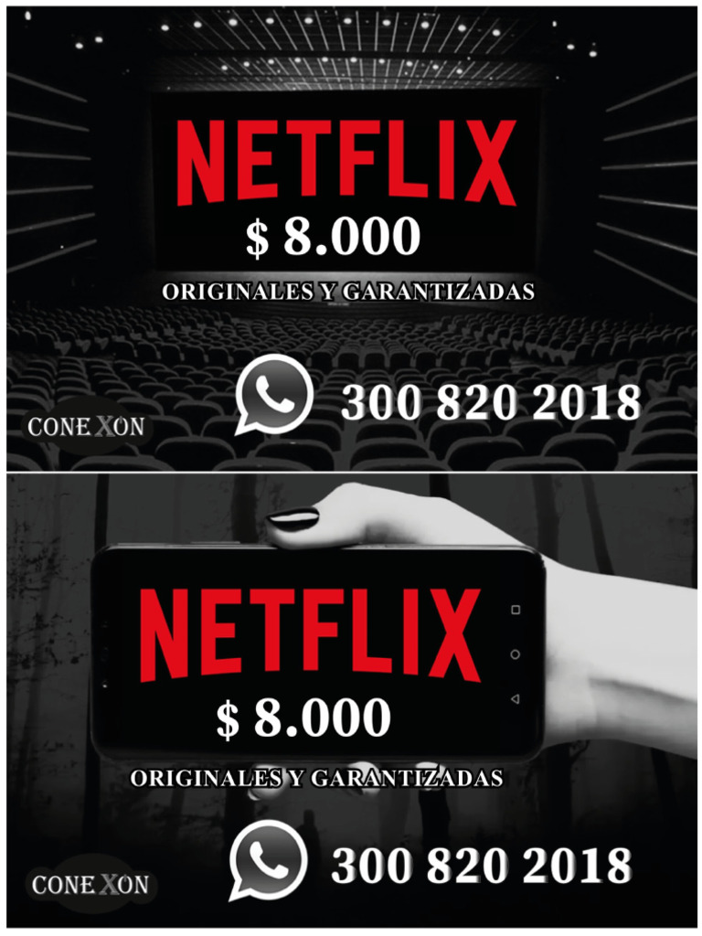 Imprimir Netflix | PDF