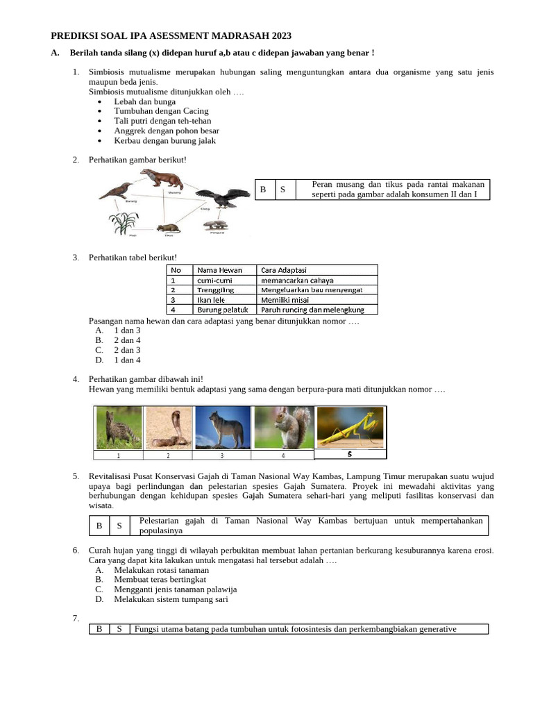 Soal Am Mapel Ipa | PDF