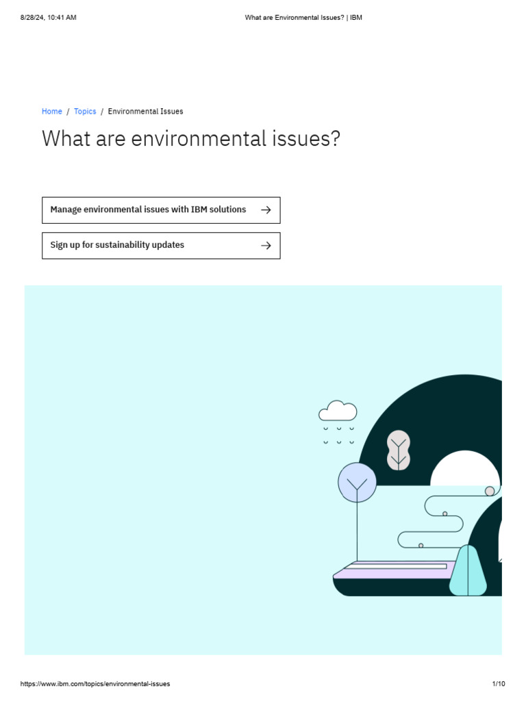 What Are Environmental Issues - IBM | PDF