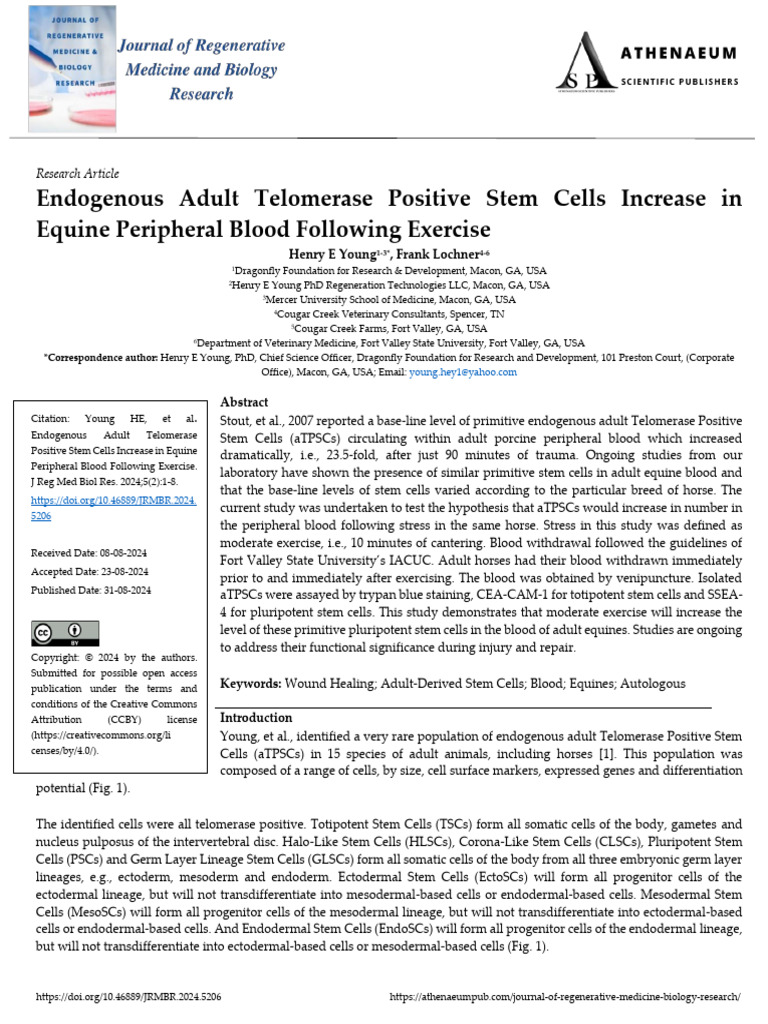 Endogenous Adult Telomerase Positive Stem Cells Increase in Equine ...