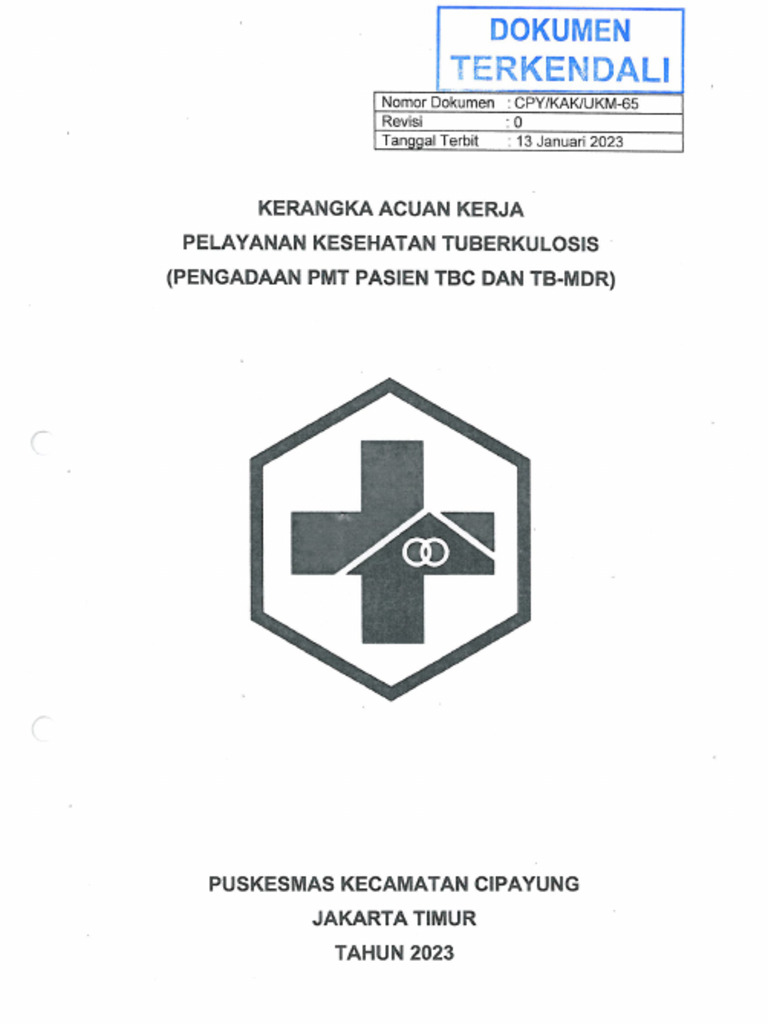 4.4.b.3 Kak Pengadaan PMT Pasien TB Dan TB MDR | PDF