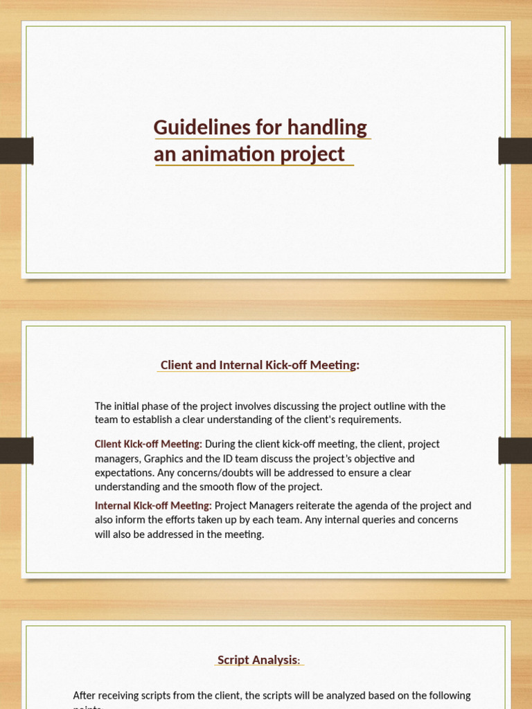 Guidelines For Handling Animation Project | PDF