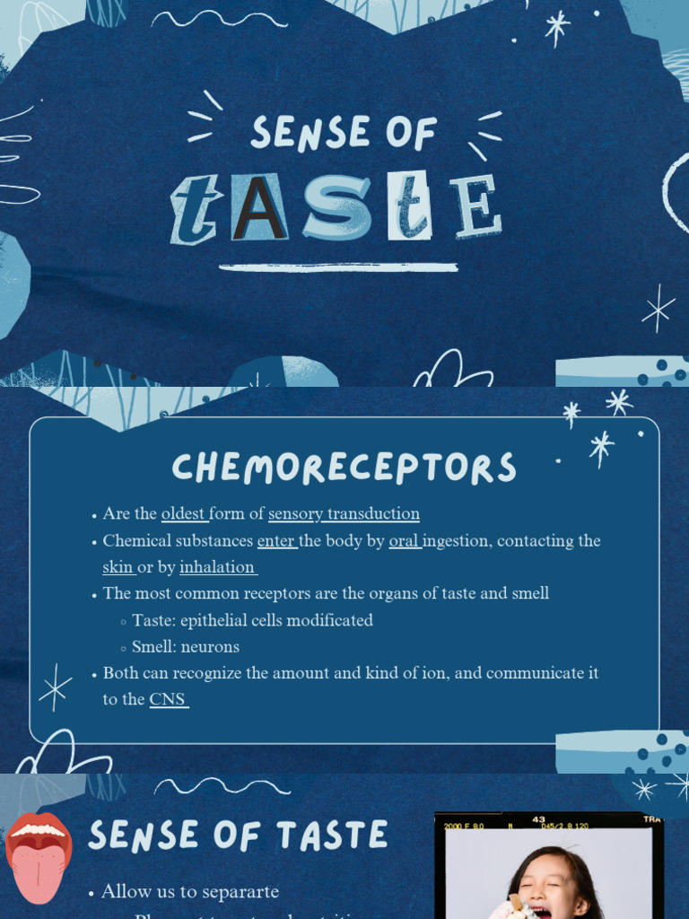 Sense of Taste | PDF