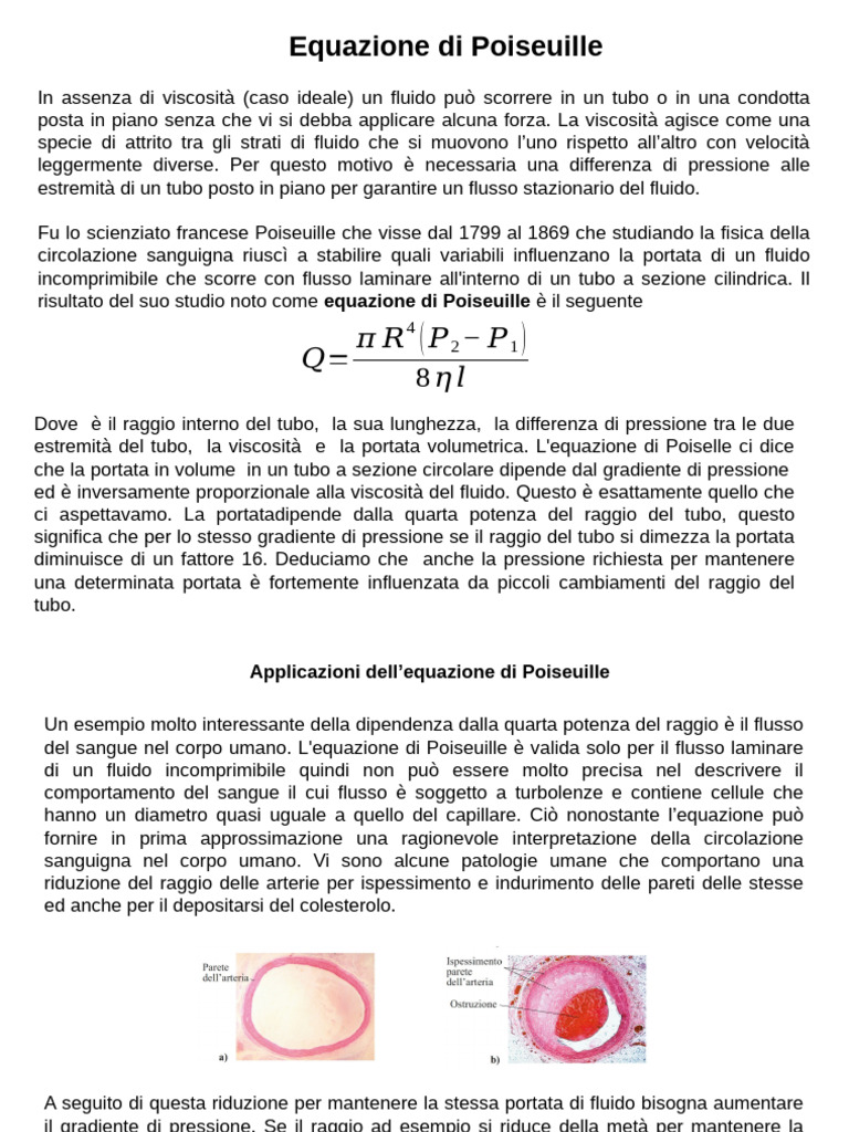 Fluidi 2024 Terza Parte | PDF
