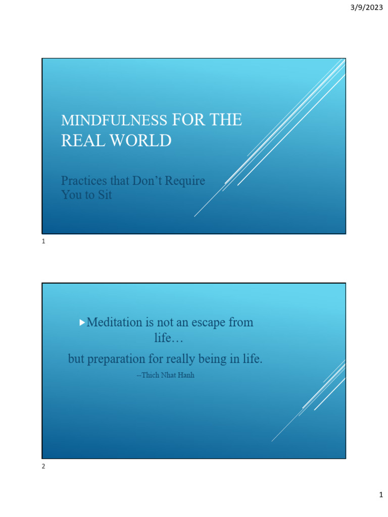 Slides Mindfulness Real World | PDF
