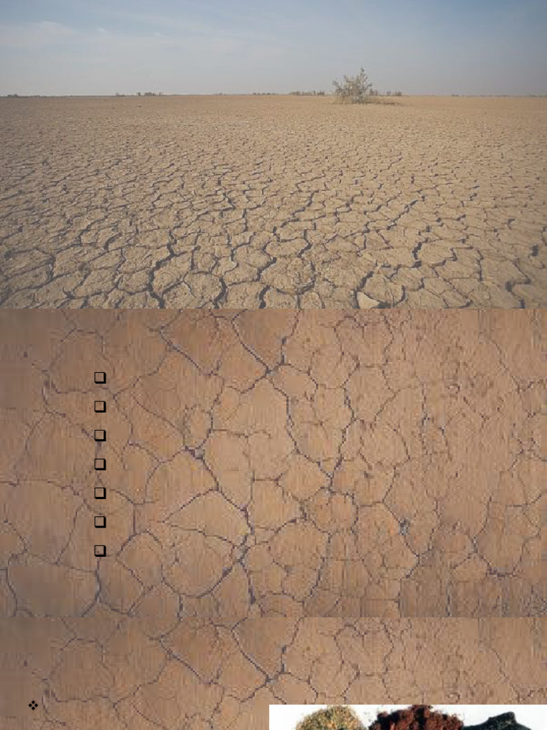 9A - Soil Texture | PDF