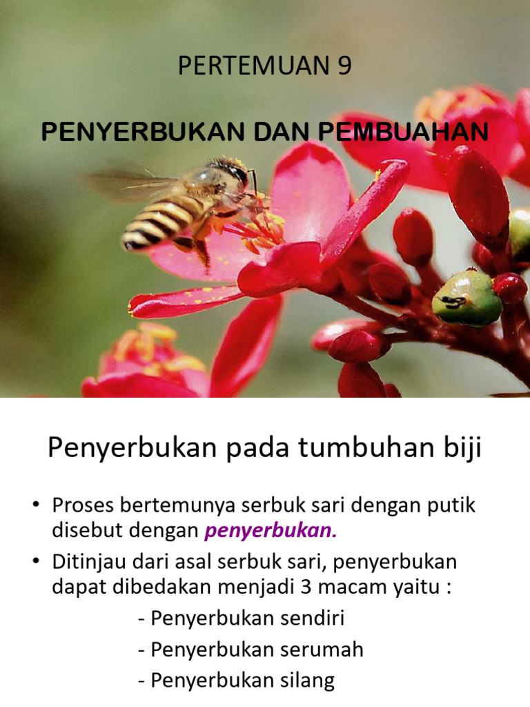 Penyerbukan D Pembuahan | PDF