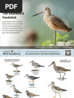 Colour Prediction | PDF