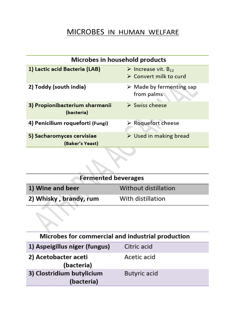 Microbes in Human Welfare | PDF