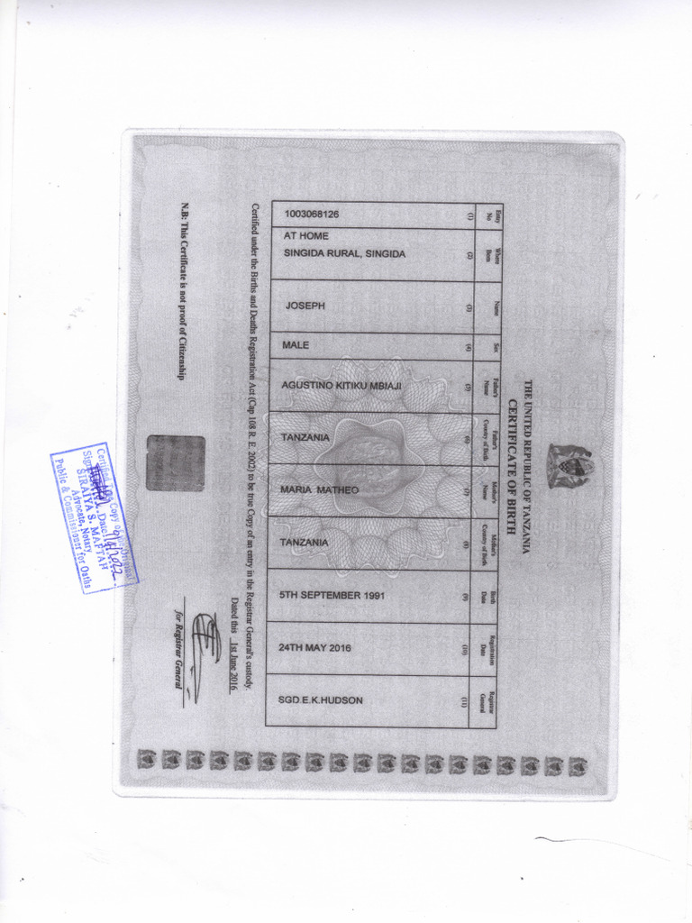 Birth Certificate | PDF