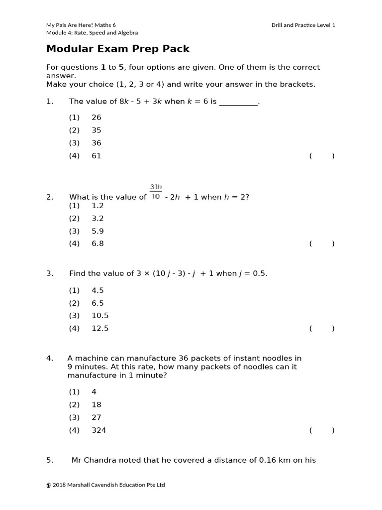 MPAH 6B 07 Rate, Speed and Algebra Drill and Practice LVL 1 | PDF