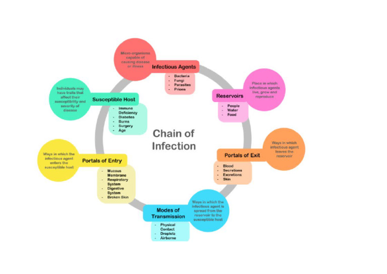 Chain of Infection | PDF