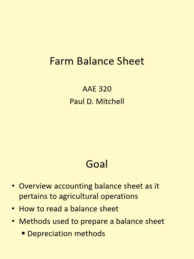 FARM BalanceSheet | PDF | Depreciation | Balance Sheet