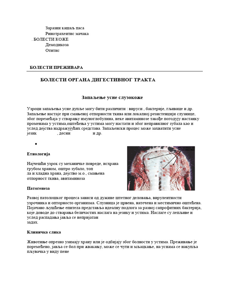 Bolesti Zivotinja | PDF