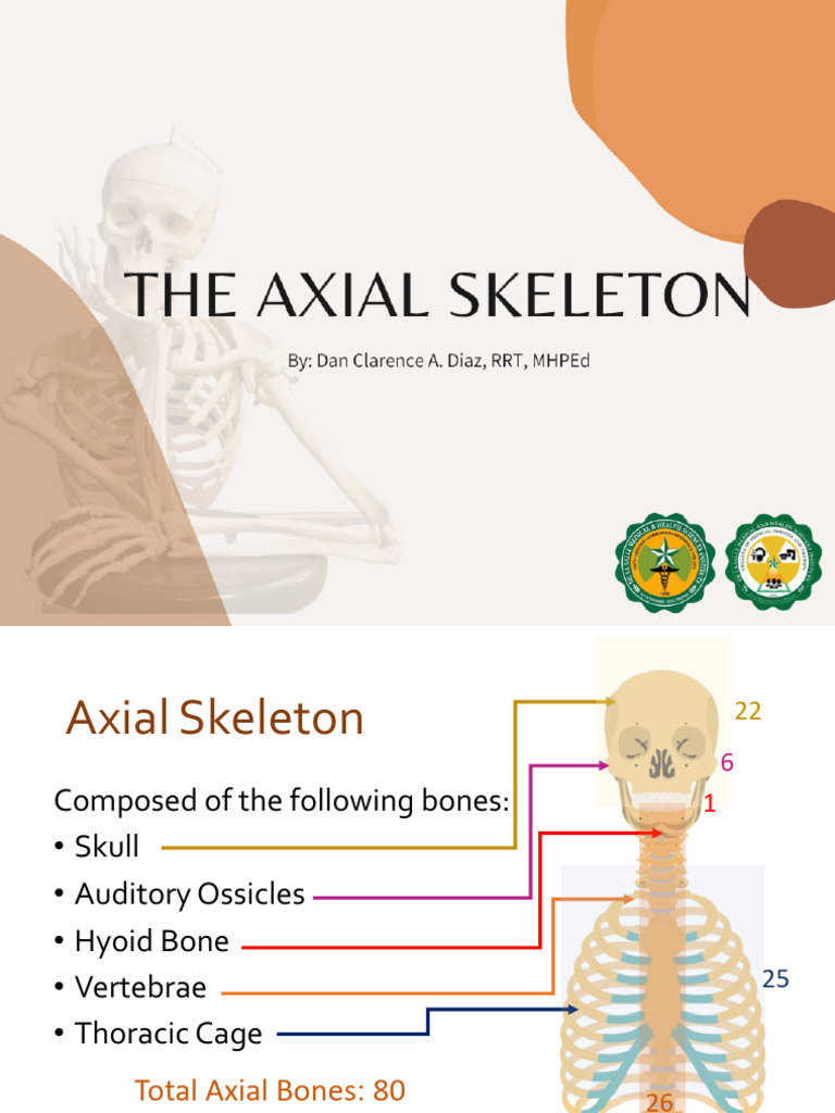The Axial Skeleton 2023 | PDF