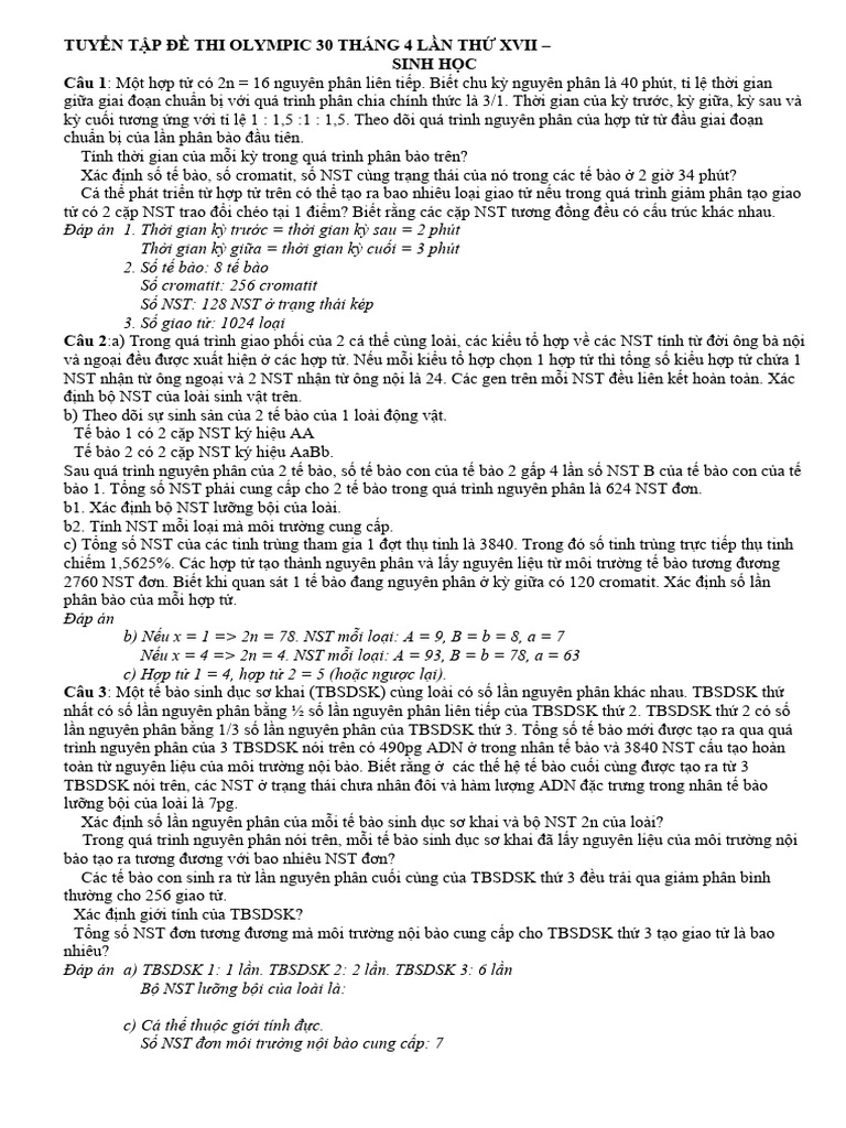 Bai Tap NP + GP | PDF