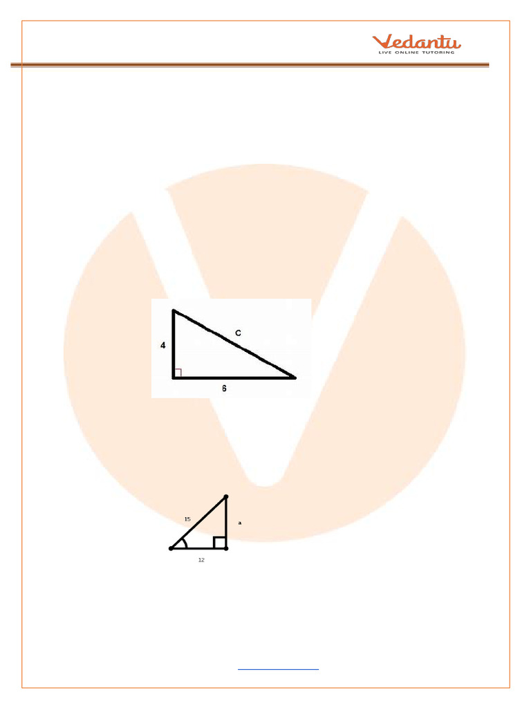 Learn More About Pythagoras Theorem From Practice Worksheets | PDF