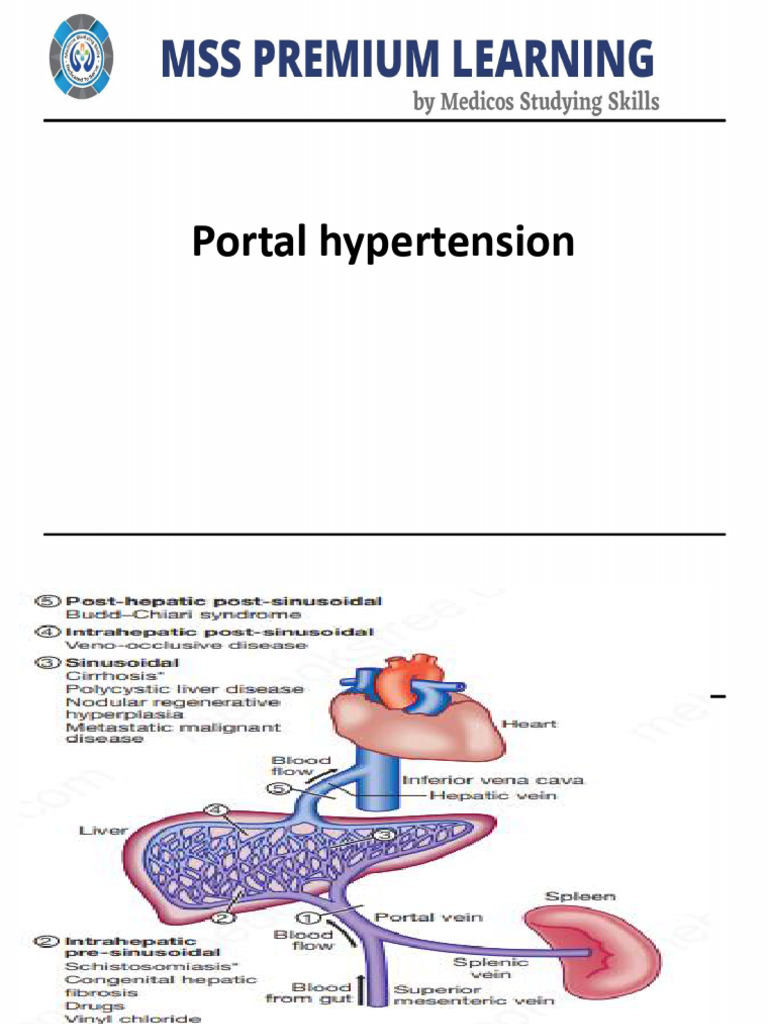 Lecture 4 Portal HTN | PDF