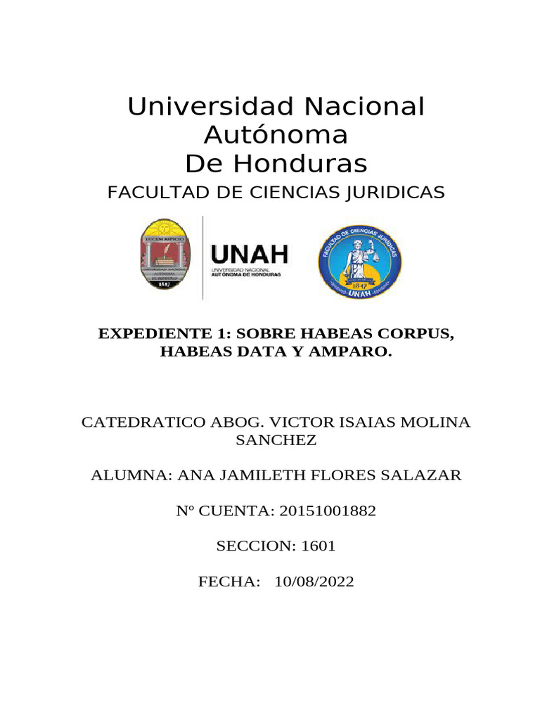 Expediente De Recursos De Habeas Corpus Amparo Y Habeas Data Pdf