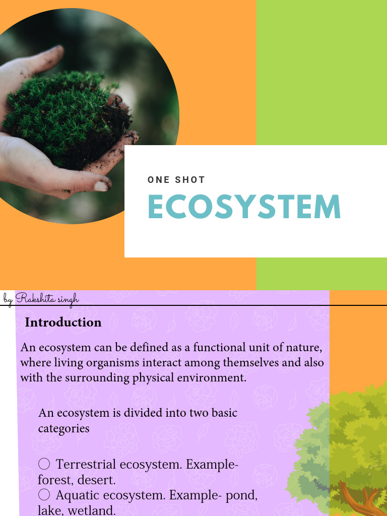 Ecosystem Pdf Pdf