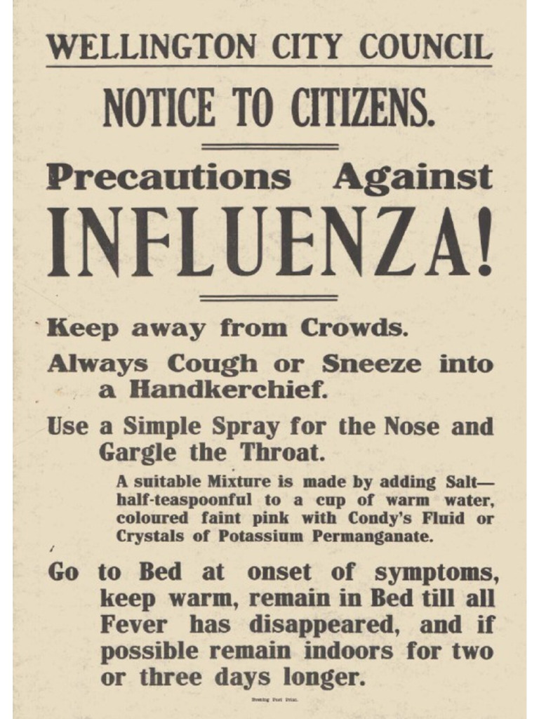 Influenza Epidemic Poster Material PDF | PDF