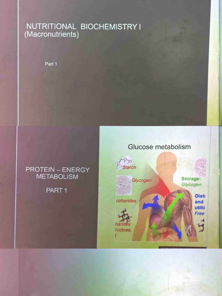 5.2 Nutritional Biochemistry 1 | PDF