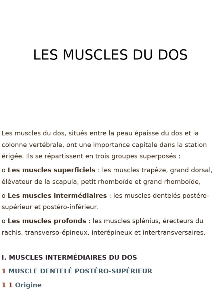 Anatomie I Les Muscles Du Dos | PDF