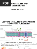 Plasma Membrane Presentation | PDF | Cell Membrane | Cell (Biology)