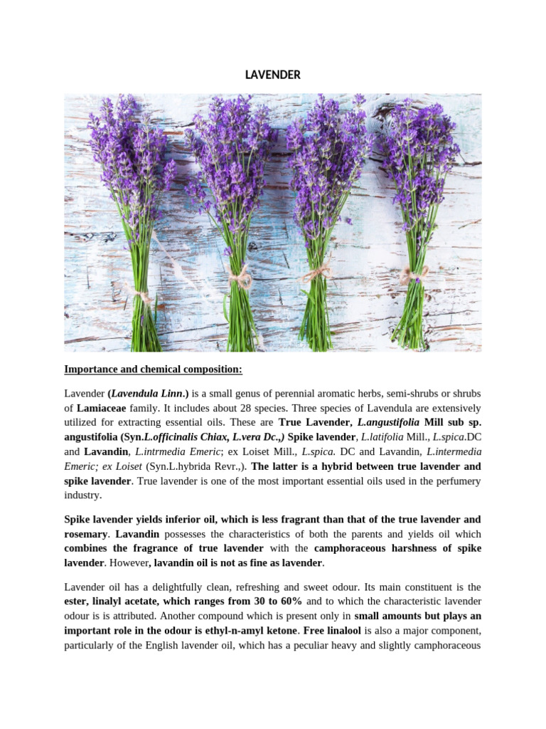 Lavender | PDF