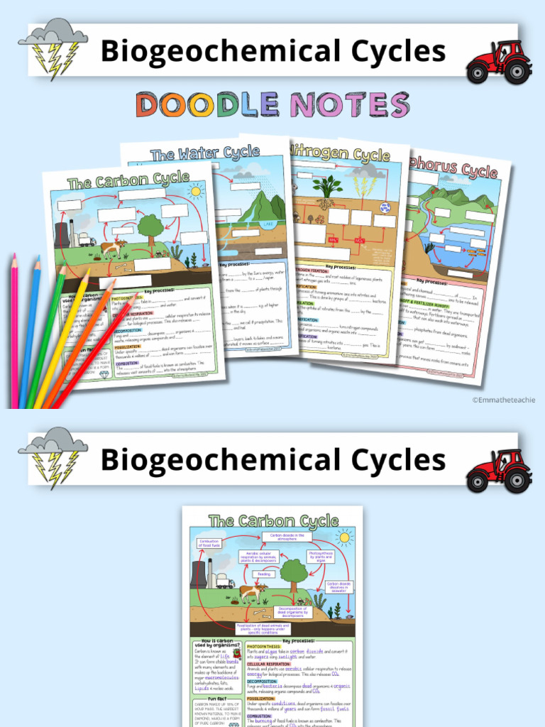 08 Biogeochemical Cycles Doodle Notes - Answer Key | PDF