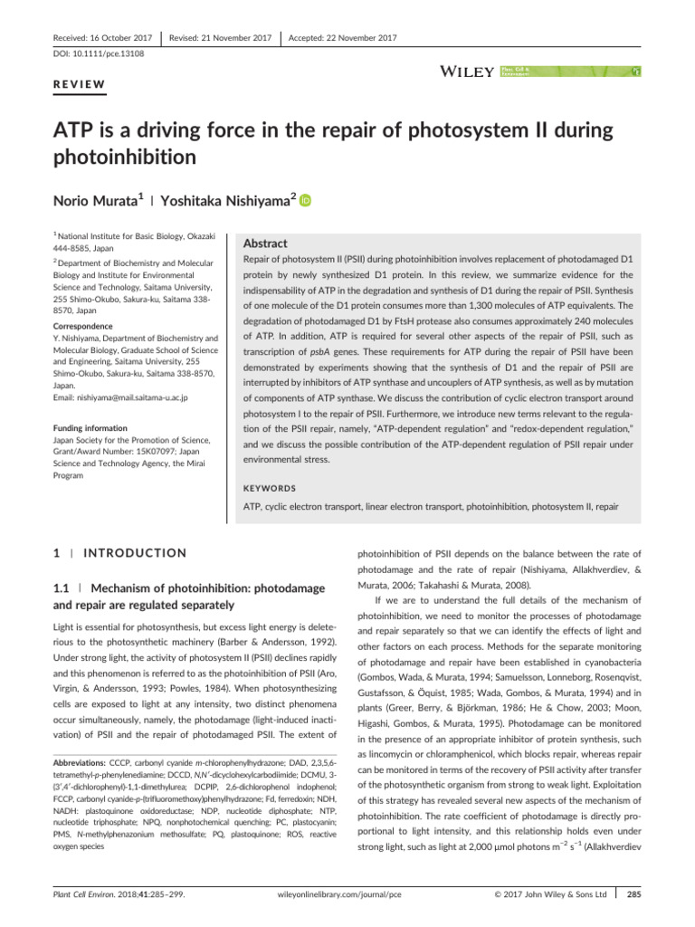 ATP Is A Driving Force in The Repair of Photosystem II During Photoinhibition | PDF