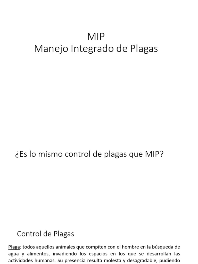Presentacion MIP | PDF