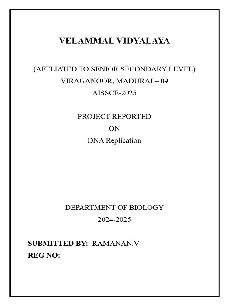 Project Reported - Ramanan | PDF