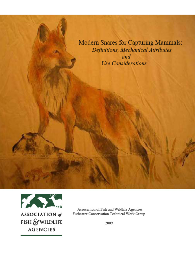 Modern Snares Final | PDF