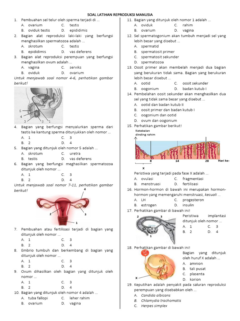 Soal Latihan Sistem Reproduksi Manusia PILGAN | PDF