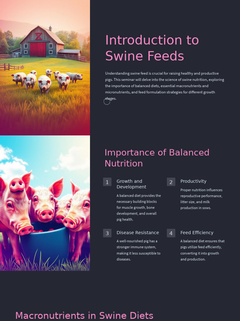 Introduction To Swine Feeds | PDF