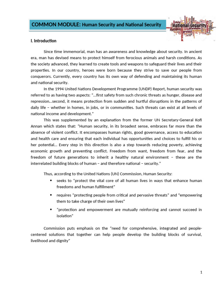 Common Module On National Security | PDF