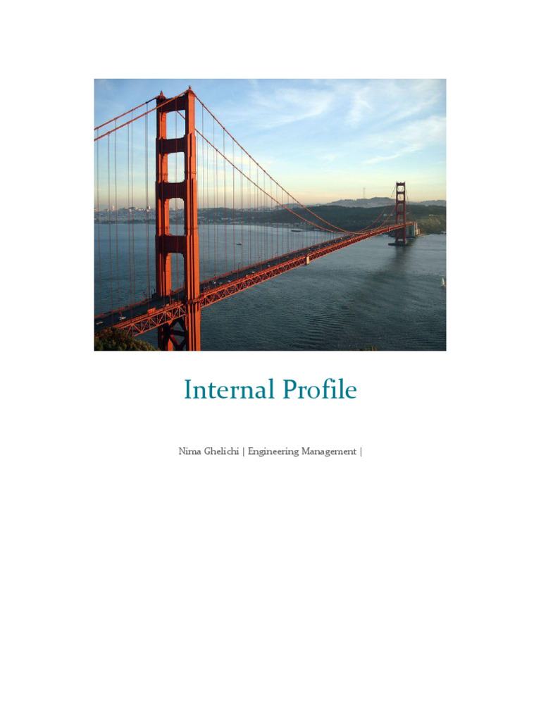 Internal Profile | PDF