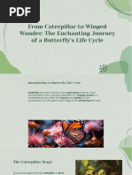 Caterpillar Life Cycle Stages Explained | PDF
