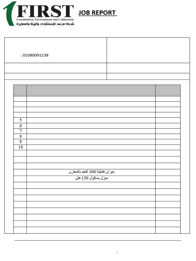 Job Report - Karry Food | PDF