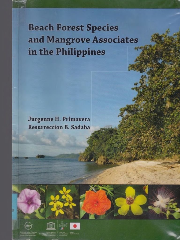 Beach Forest | PDF