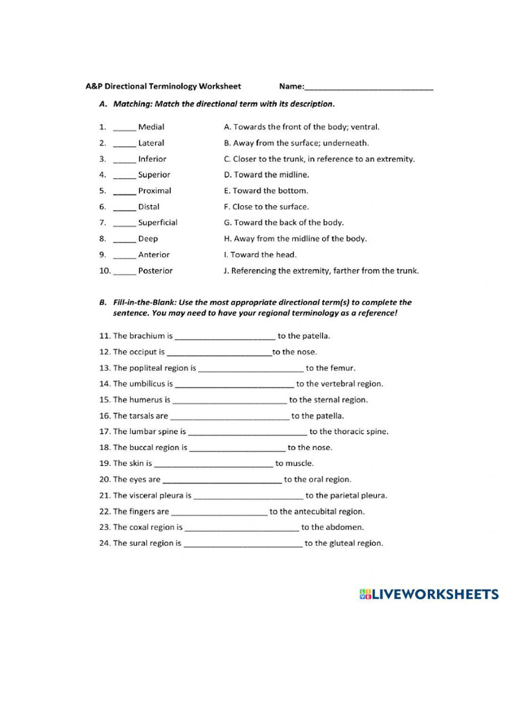 Identification Lesson One, Anaphy | PDF