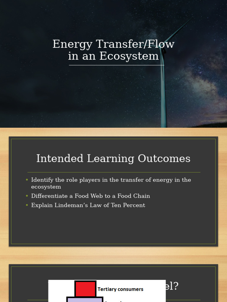 Fundamentals of Ecology - (Energy Flow and Transfer) | PDF