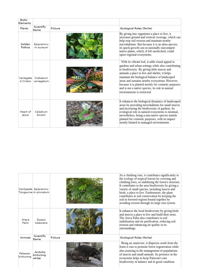 Assignment 1 Ese150-5 | PDF | Ecosystem | Science & Mathematics